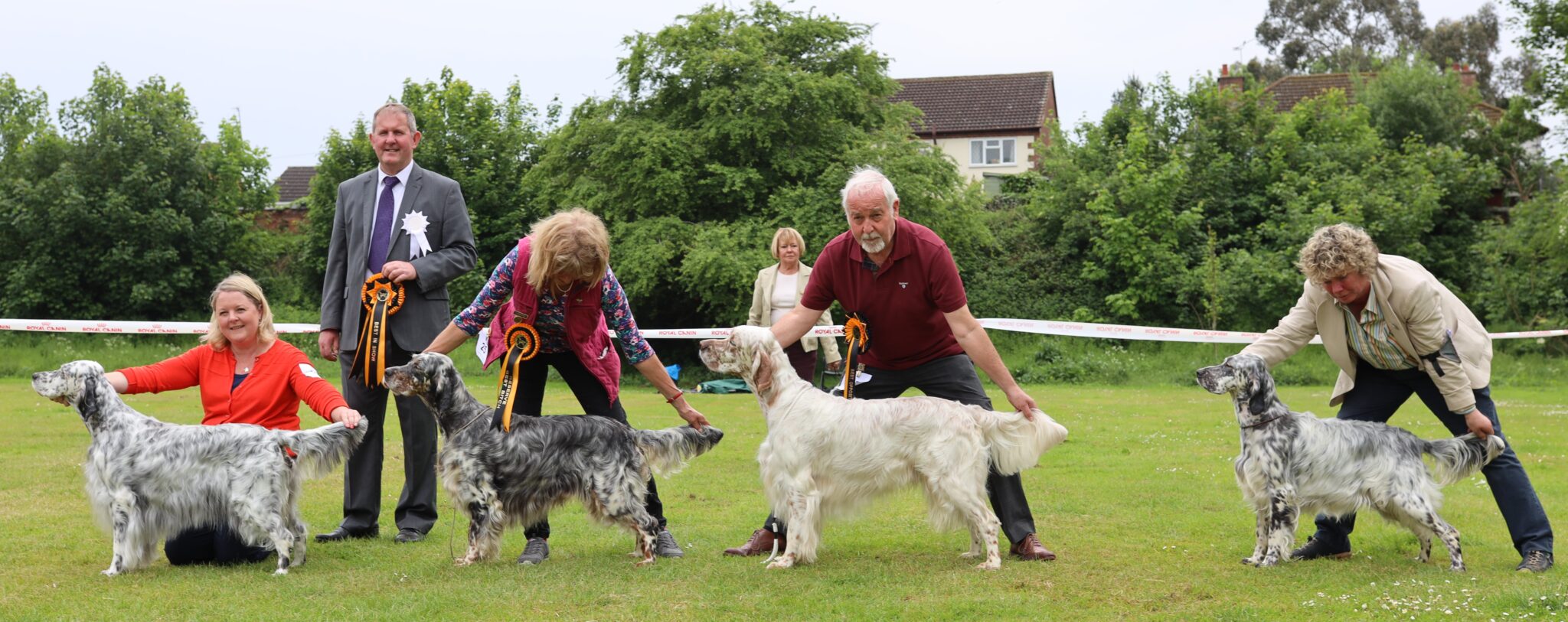 Midland English Setter Society | MESS